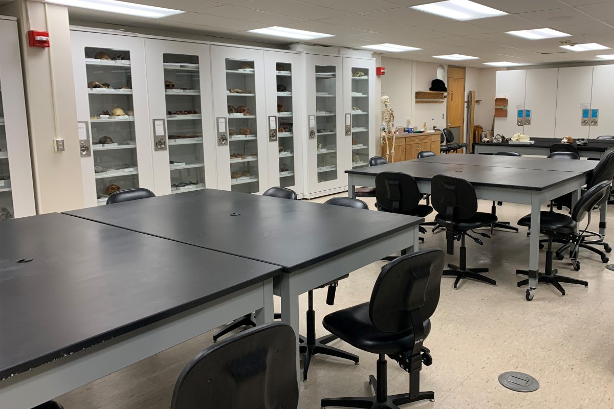 Instruction Overview – UW Anthropology Collection – UW–Madison